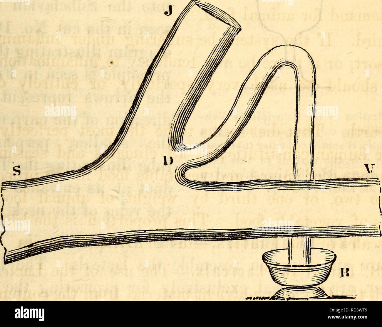 . Elementary anatomy and physiology : for colleges, academies, and ...