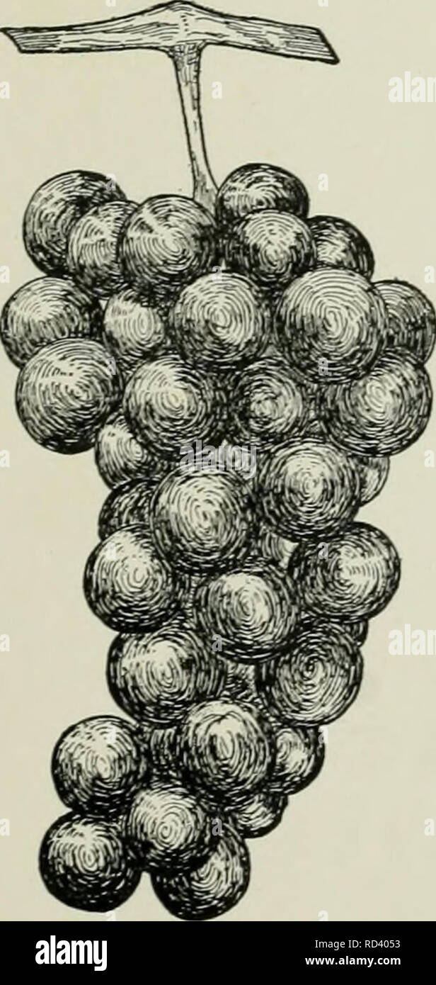 Lignan good fruit hi-res stock photography and images - Alamy