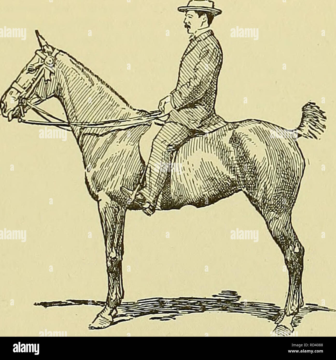 Chartered 1828 hi-res stock photography and images - Alamy