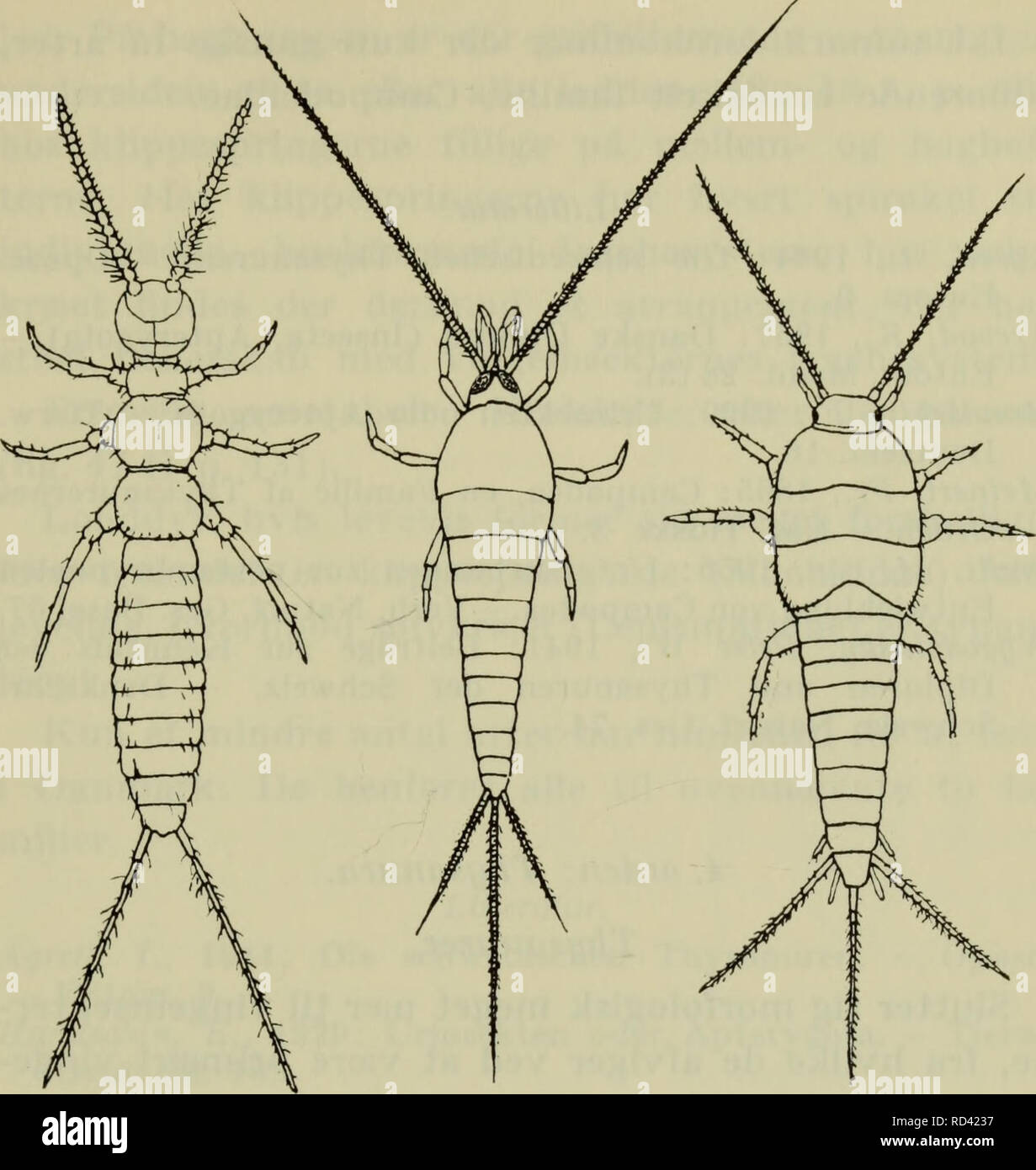 . Danmarks fauna; illustrerede haandbøger over den danske dyreverden ...