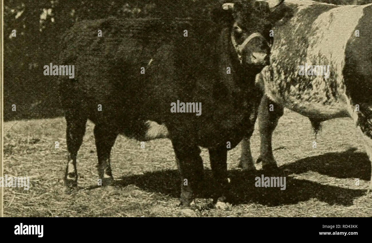 . Elementary agriculture. Agriculture. CATTLE 17 was carrying upon a ...