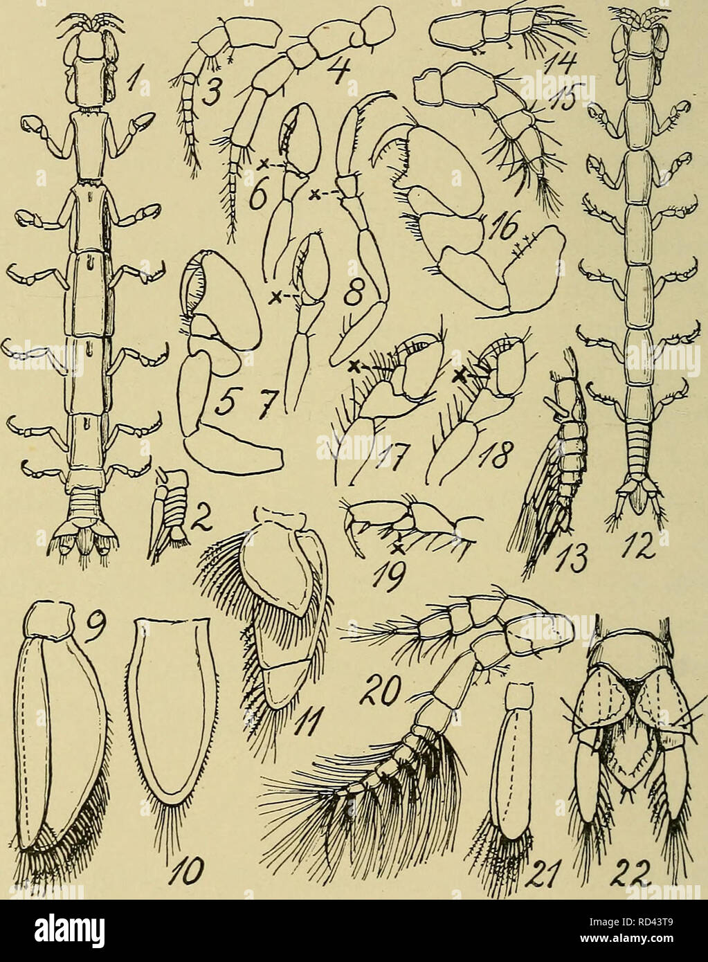 Dette 5 10 18 hi-res stock photography and images - Alamy