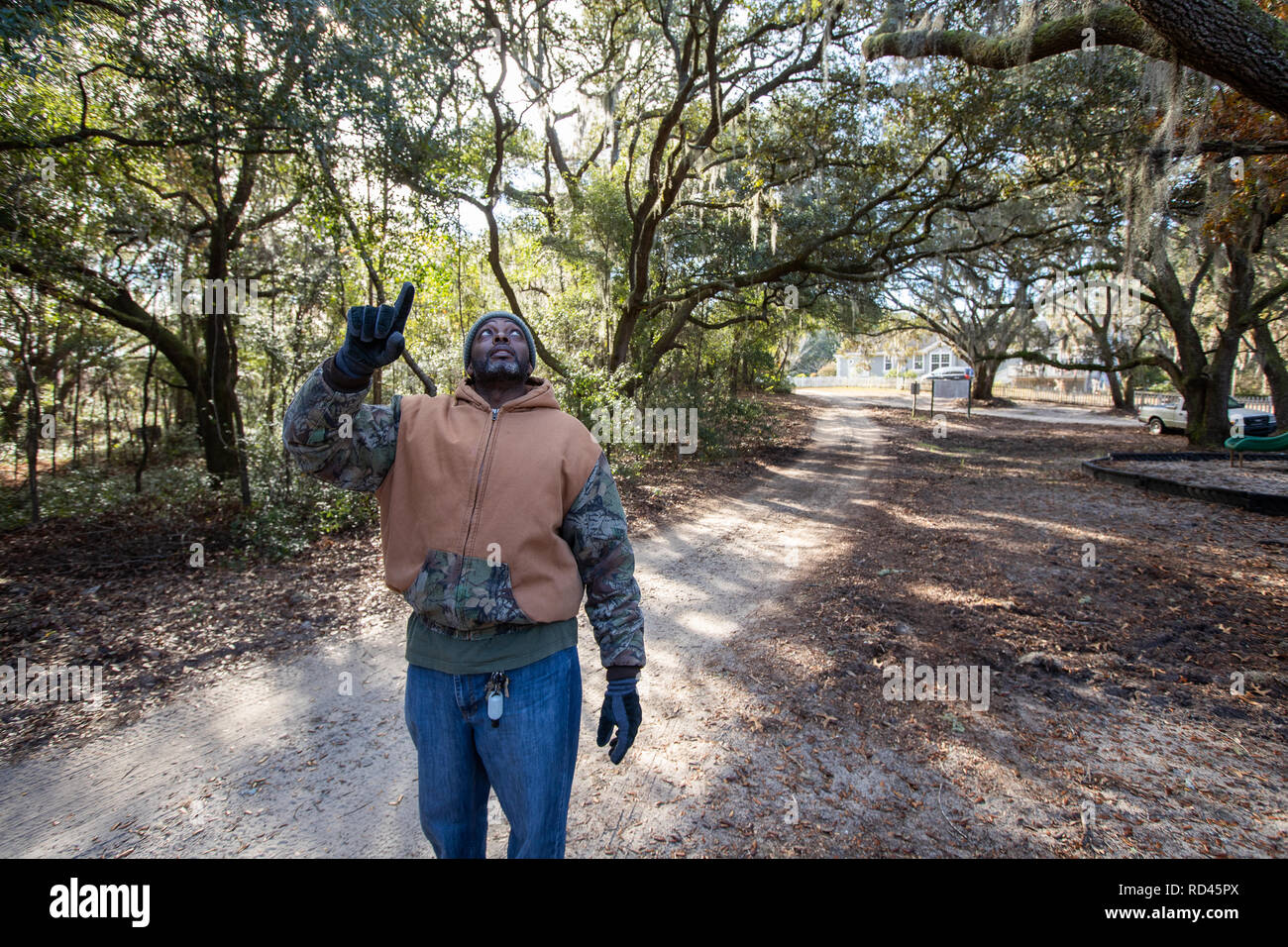 Sandy Island, South Carolina Stock Photo - Alamy