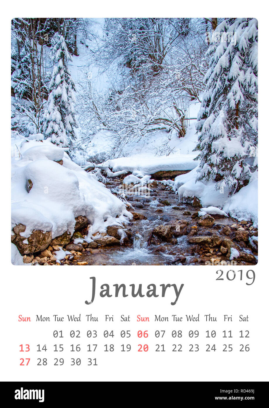 A4 printable 2019 calendar - month of January. Nature, minimalist ...