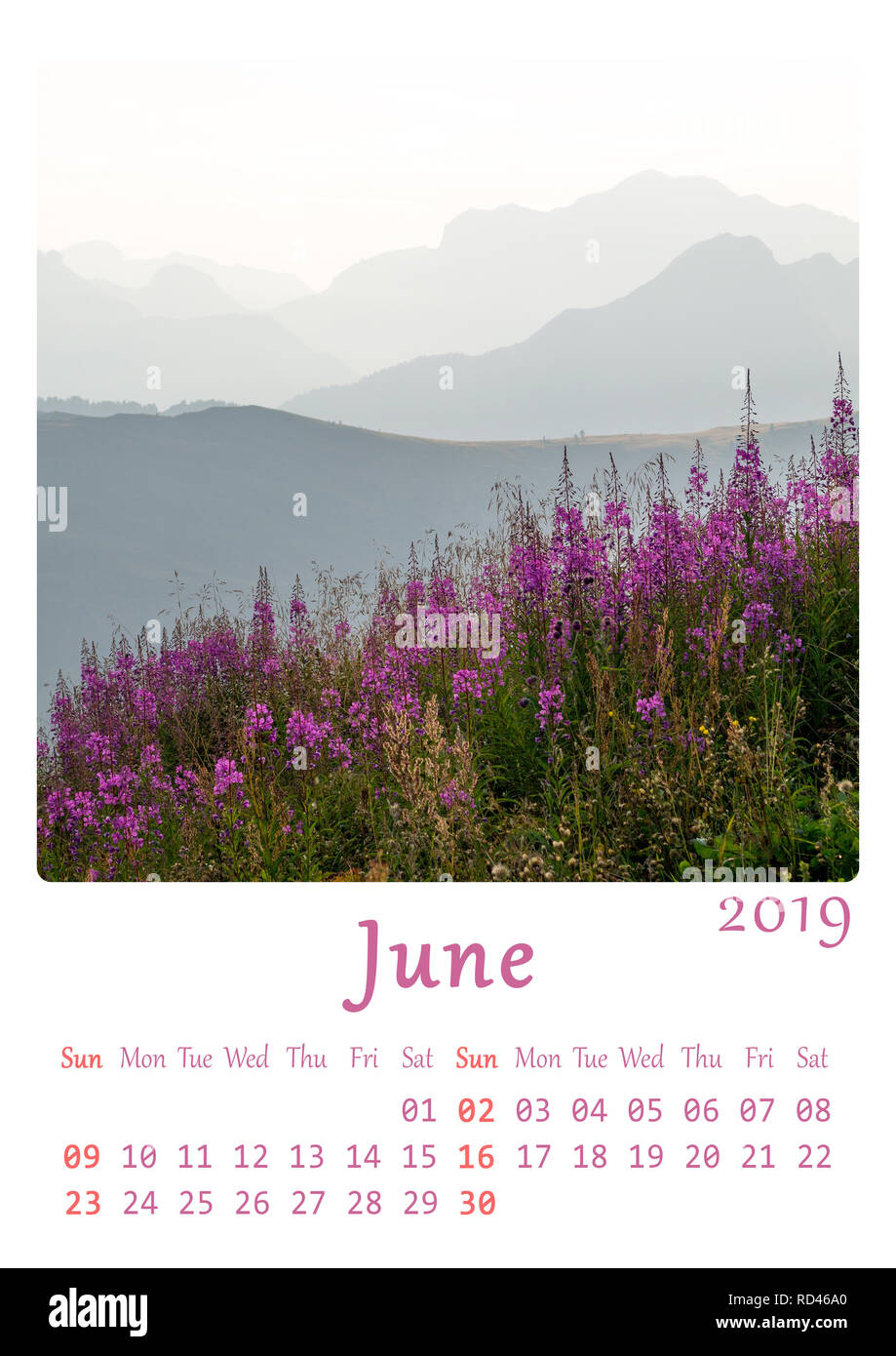 A4 printable 2019 calendar - month of June. Nature, minimalist calendar ...