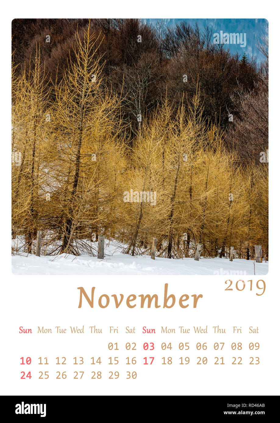 A4 printable 2019 calendar - month of November. Nature, minimalist ...