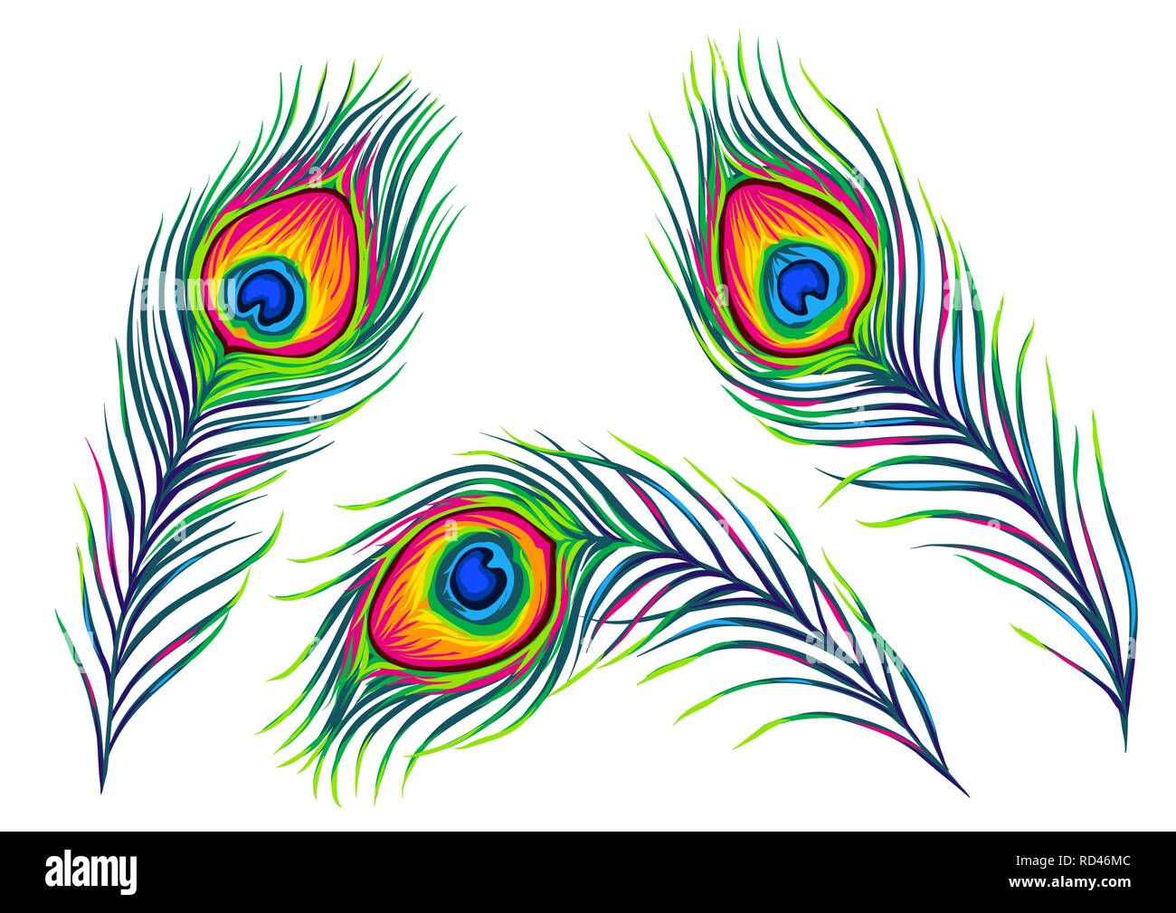 Set of peacock feathers Stock Vector Image & Art - Alamy