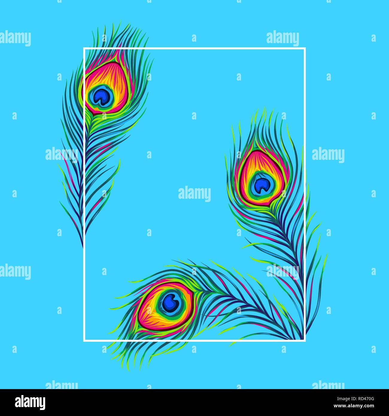 Frame with peacock feathers Stock Vector Image & Art - Alamy