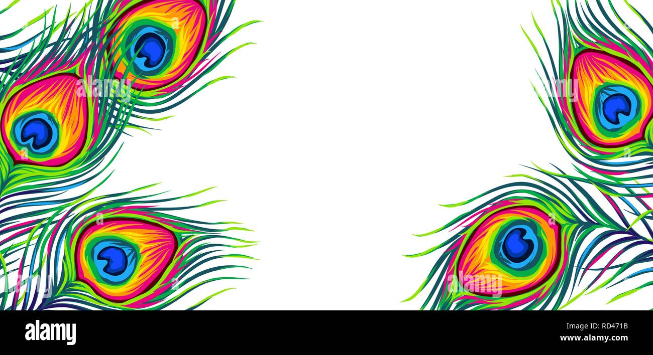 Peacock Border Wallpaper