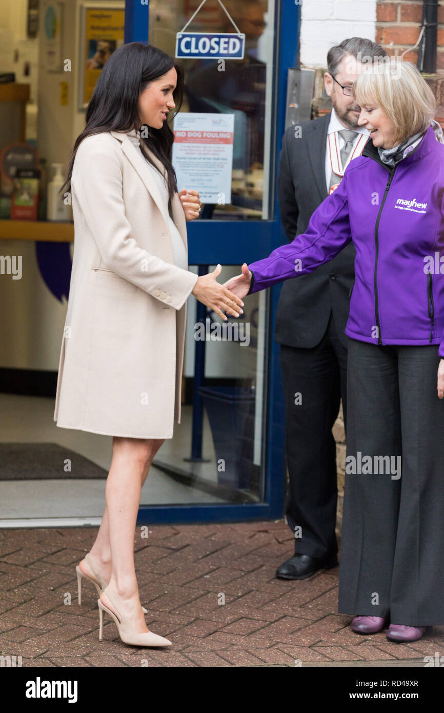 Meghan markle mayhew animal welfare hi-res stock photography and images ...