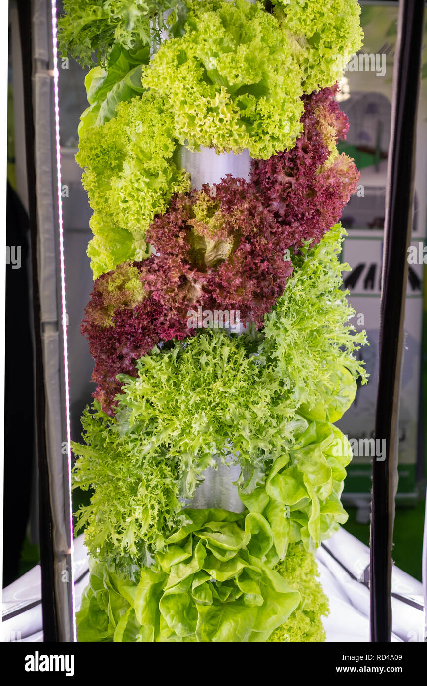 Vertical vegitable growing container hi-res stock photography and ...