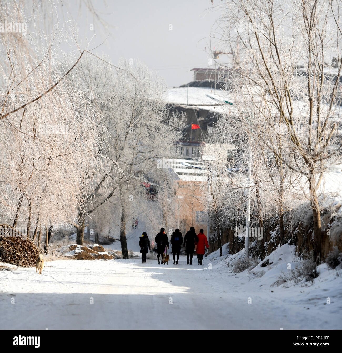 Longxi hi-res stock photography and images - Alamy