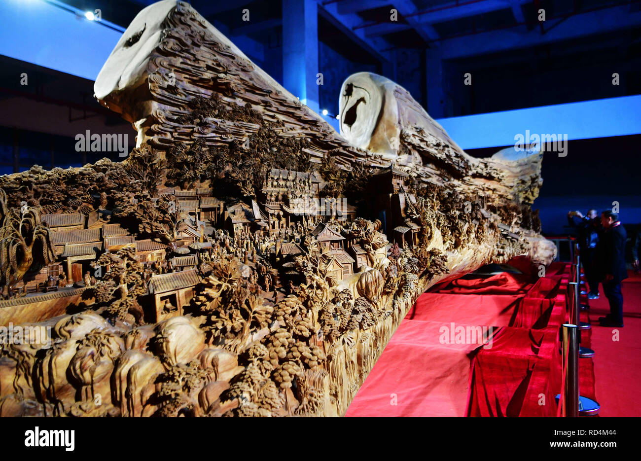 Putian. 15th Jan, 2019. Photo taken on Jan. 15, 2019 shows a camphor ...