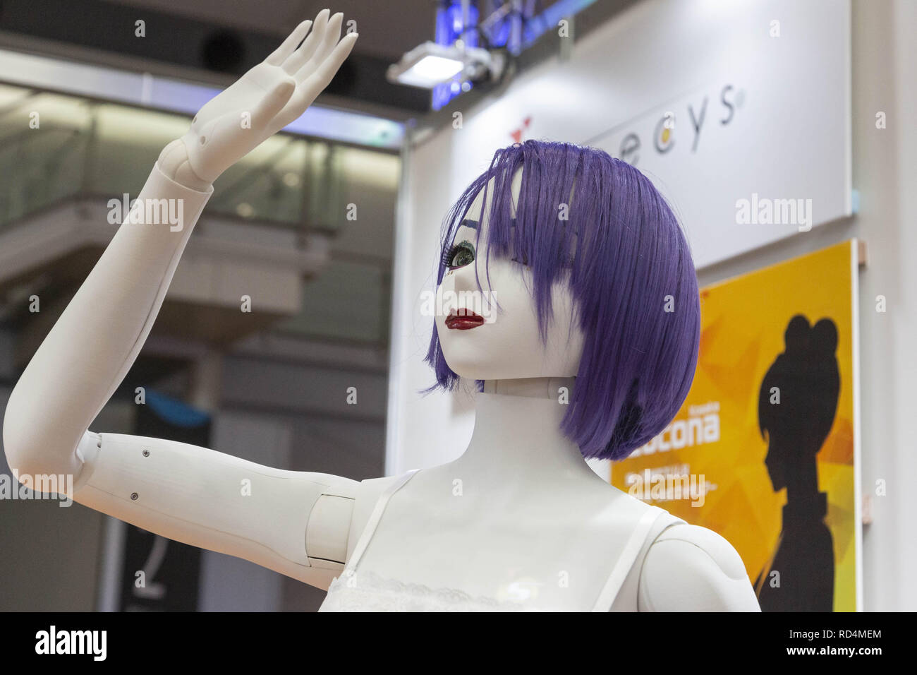Tokyo, Japan. 17th Jan, 2019. A human-sized motion figure platform ...