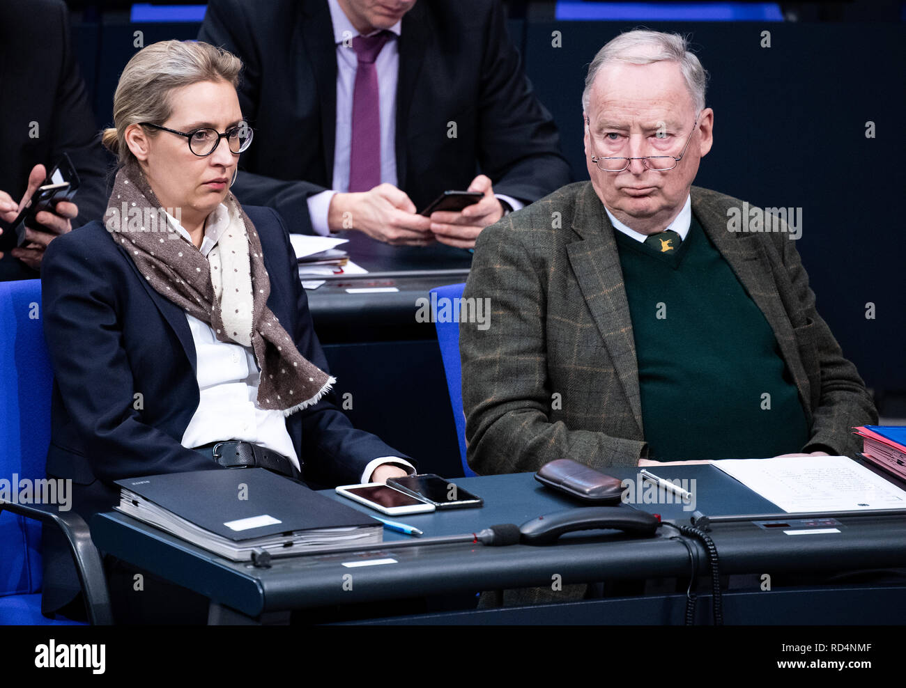 Berlin, Germany. 17th Jan, 2019. Alice Weidel and Alexander Gauland ...
