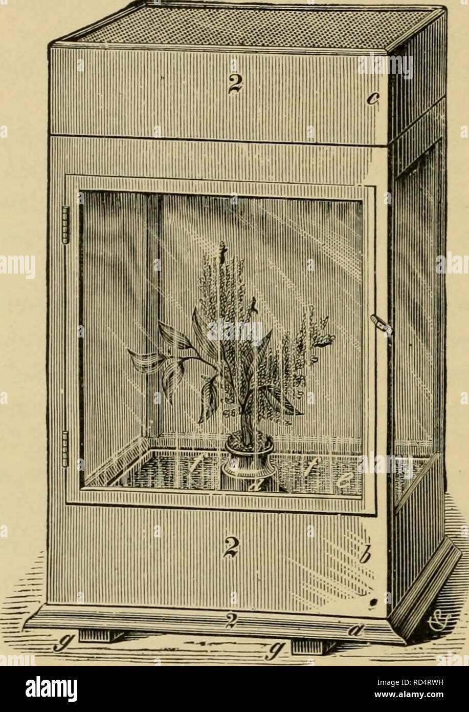 Dissecting insect hi-res stock photography and images - Alamy