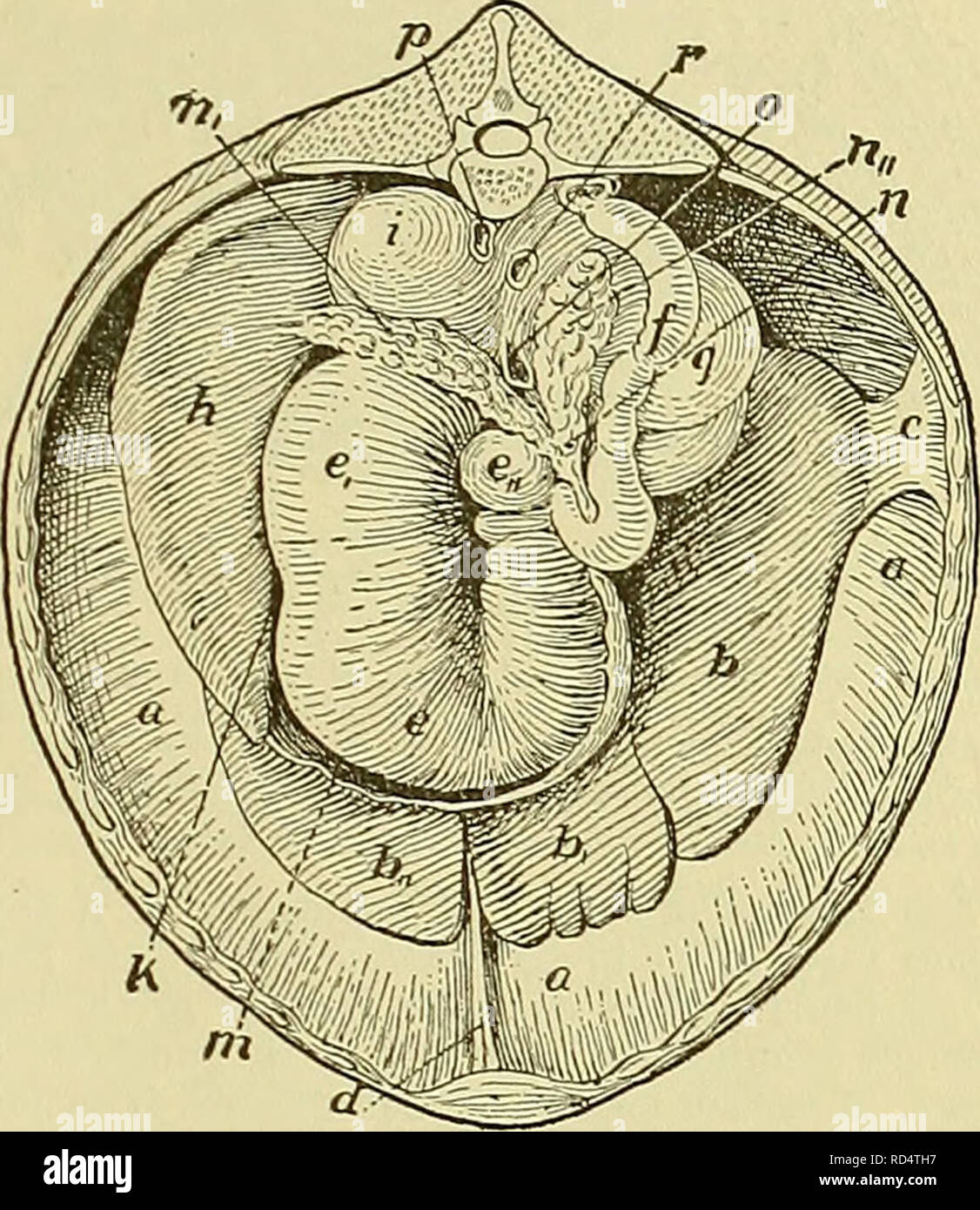 Cyclopedia Of Farm Animals Domestic Animals Animal Products cyclopedia-of-farm-animals-domestic-animals-animal-products