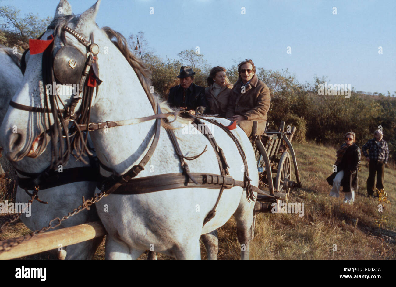 Michael prinz von preußen hi-res stock photography and images - Alamy