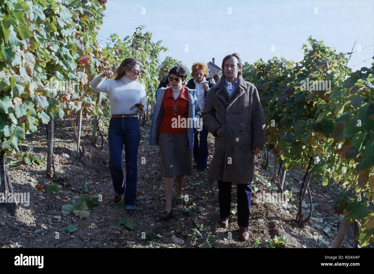 Michael Prinz von Preußen und Ehefrau Jutta helfen bei der Weinlese im ...