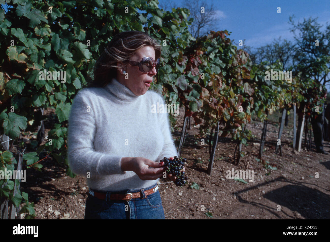 Michael prinz von preußen hi-res stock photography and images - Alamy