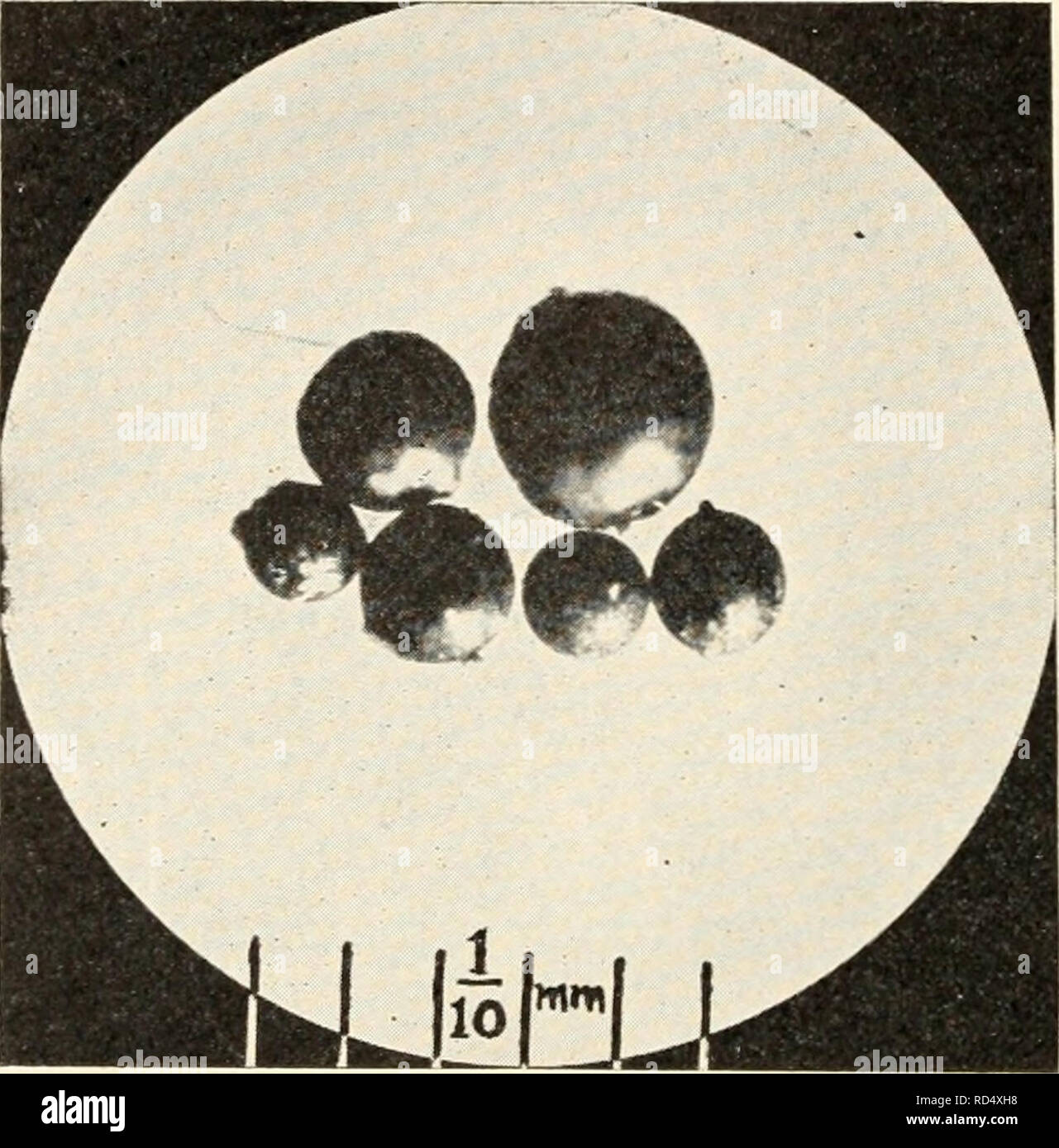 . Elementary chemical microscopy. Microscopy; Microchemistry. 174 ...