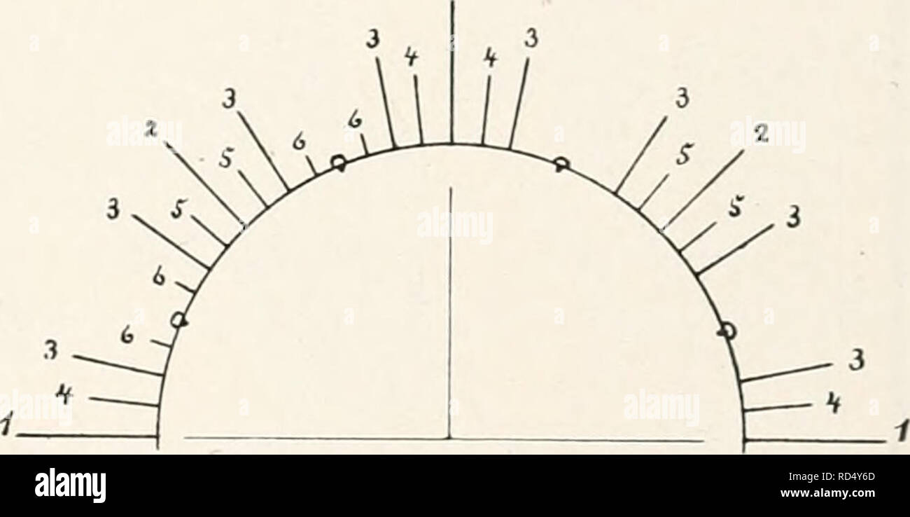 Male gonads hi-res stock photography and images - Alamy