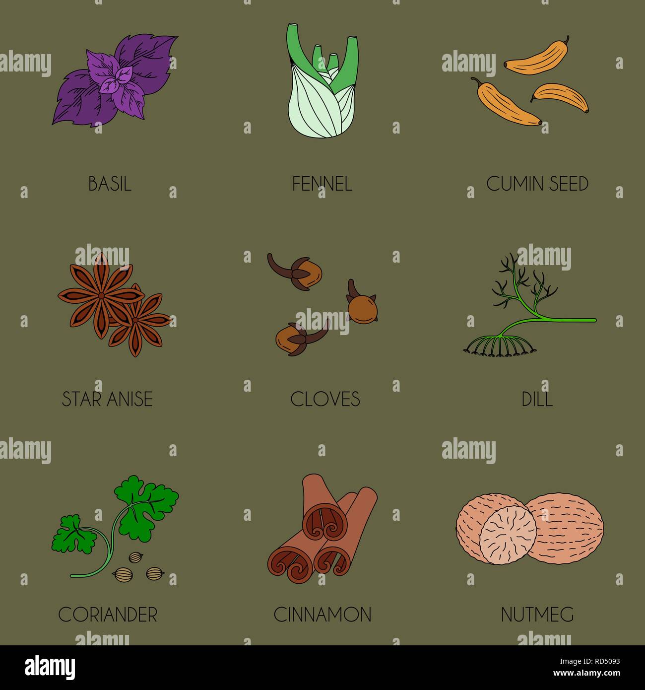 Spices set of colored icons. Vector image Stock Vector Image & Art - Alamy