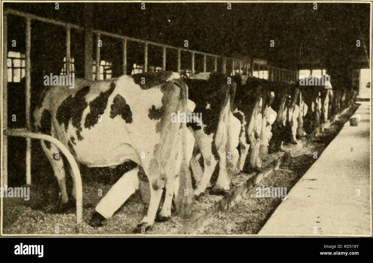 Barn milk pails hi-res stock photography and images - Alamy