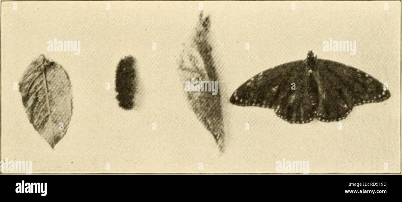 . Elementary agriculture with practical arithmetic. Agriculture ...