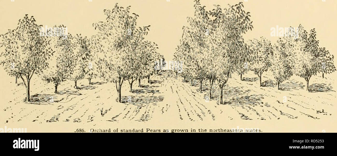 Growth anil hi-res stock photography and images - Alamy