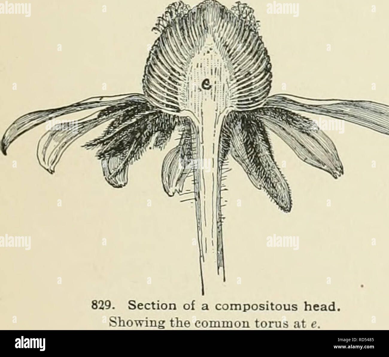 Torus shaped hi-res stock photography and images - Alamy