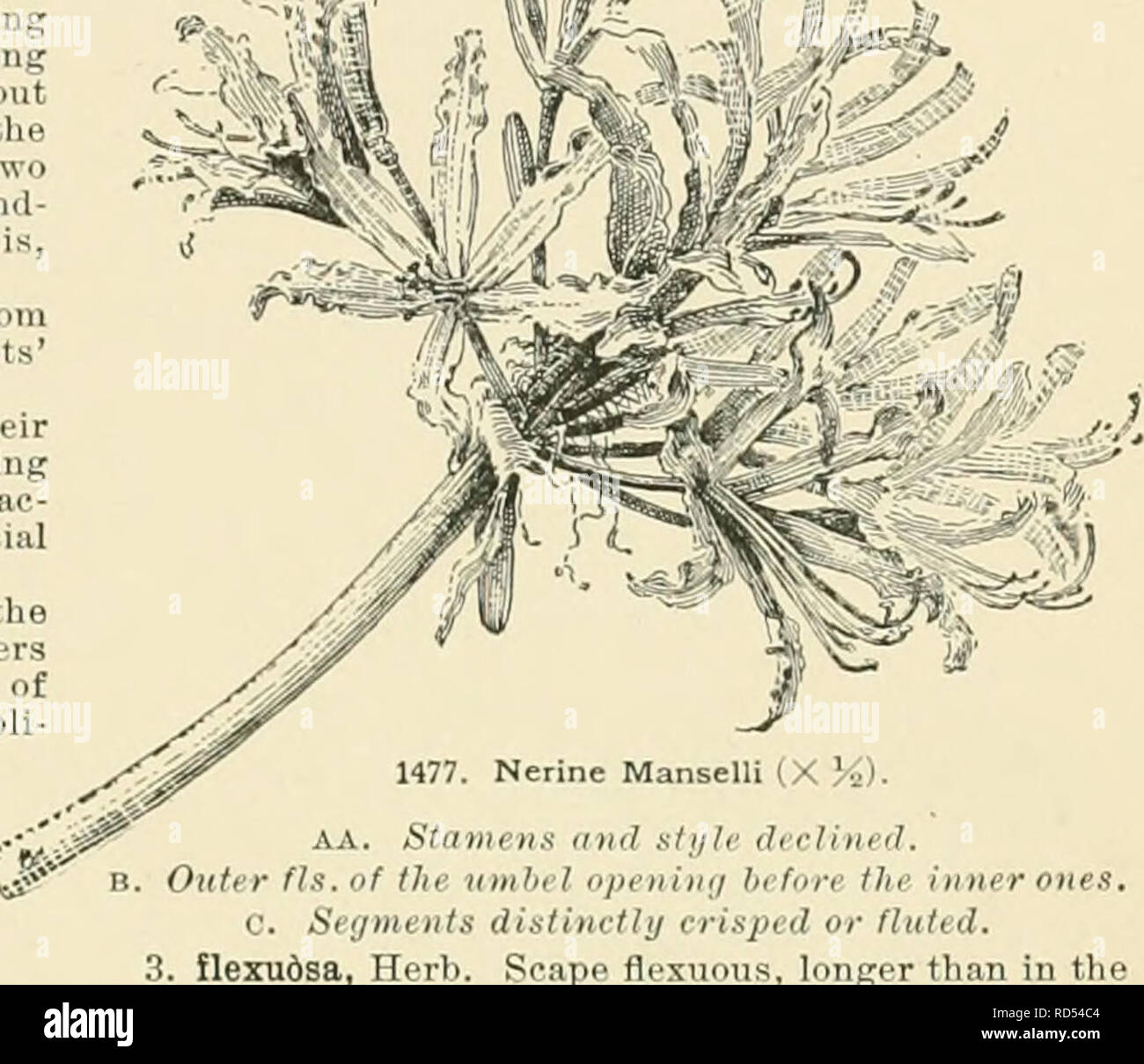 Turan ii hi-res stock photography and images - Alamy