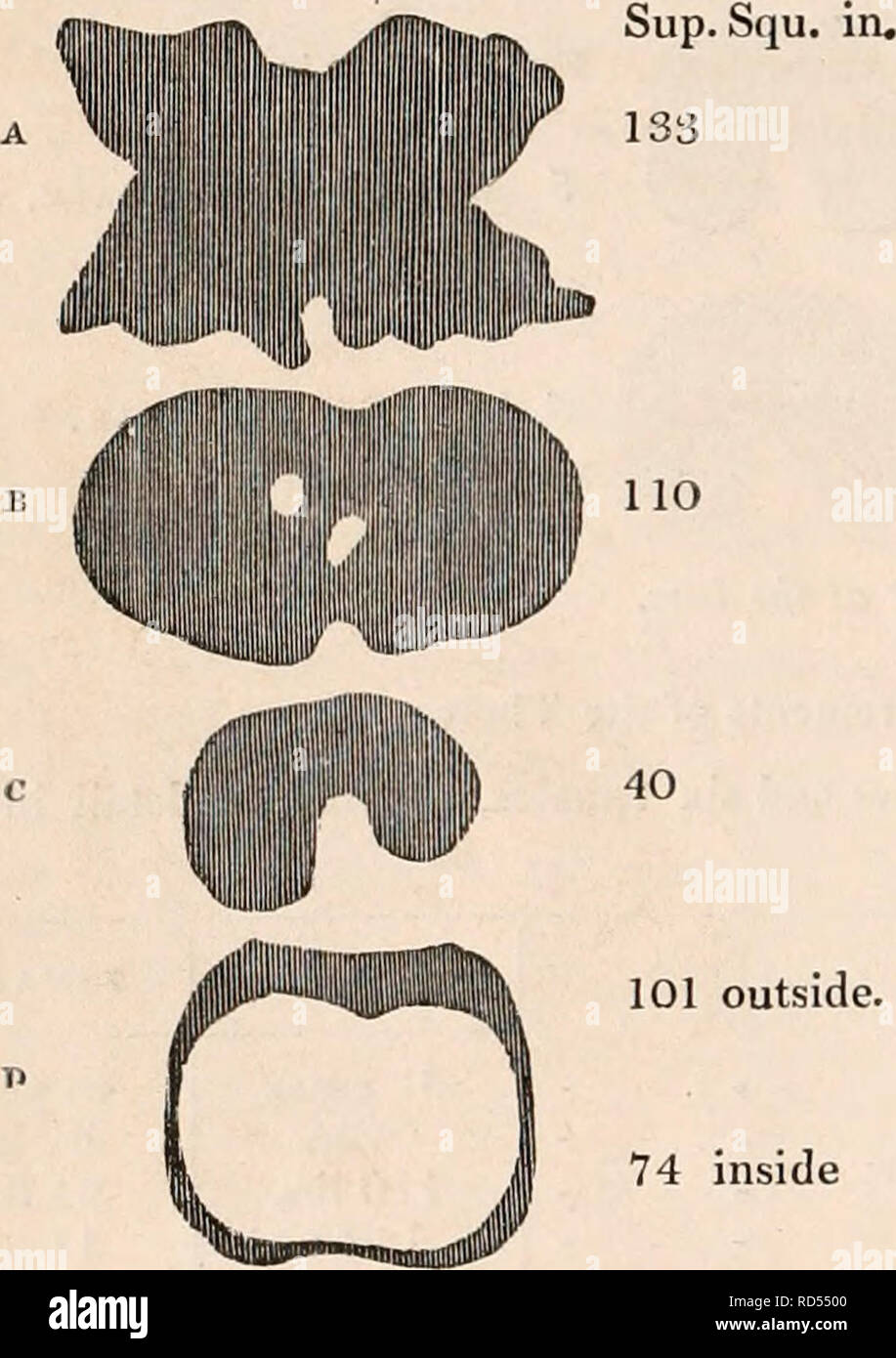 Height measurement man inches hi-res stock photography and images - Alamy