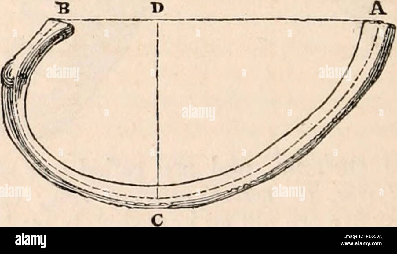 . The cyclopædia of anatomy and physiology. Anatomy; Physiology ...