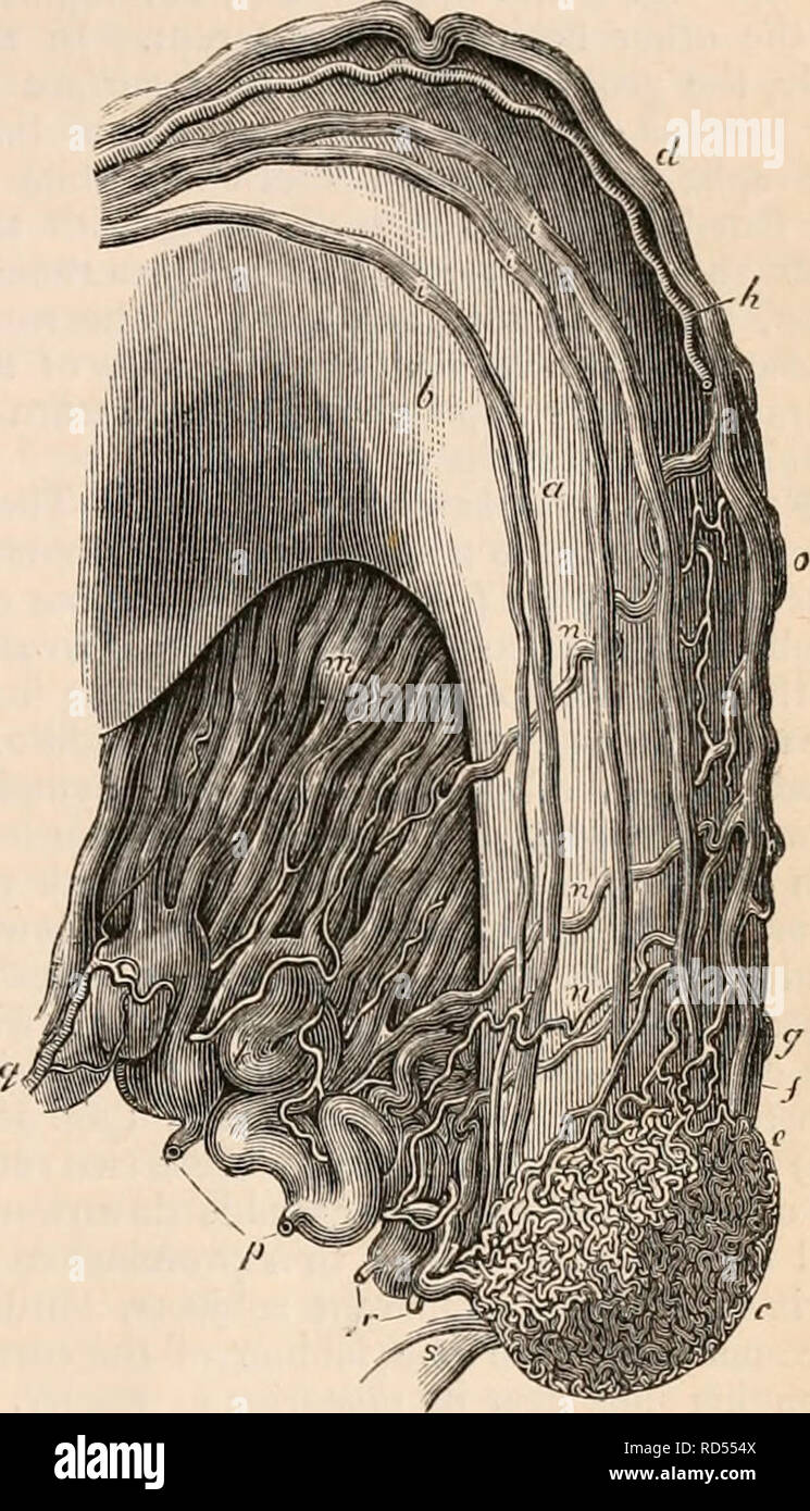 Generative parts hi-res stock photography and images - Alamy