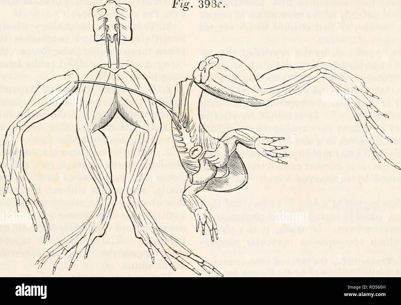 Vanis High Resolution Stock Photography and Images - Alamy