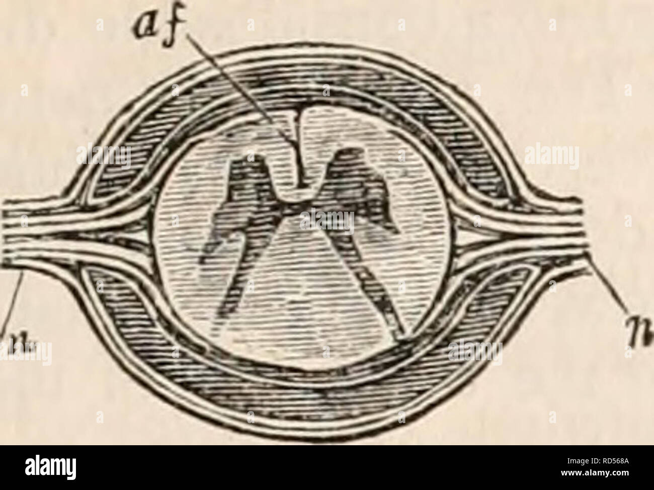 Triangular interval hi-res stock photography and images - Alamy