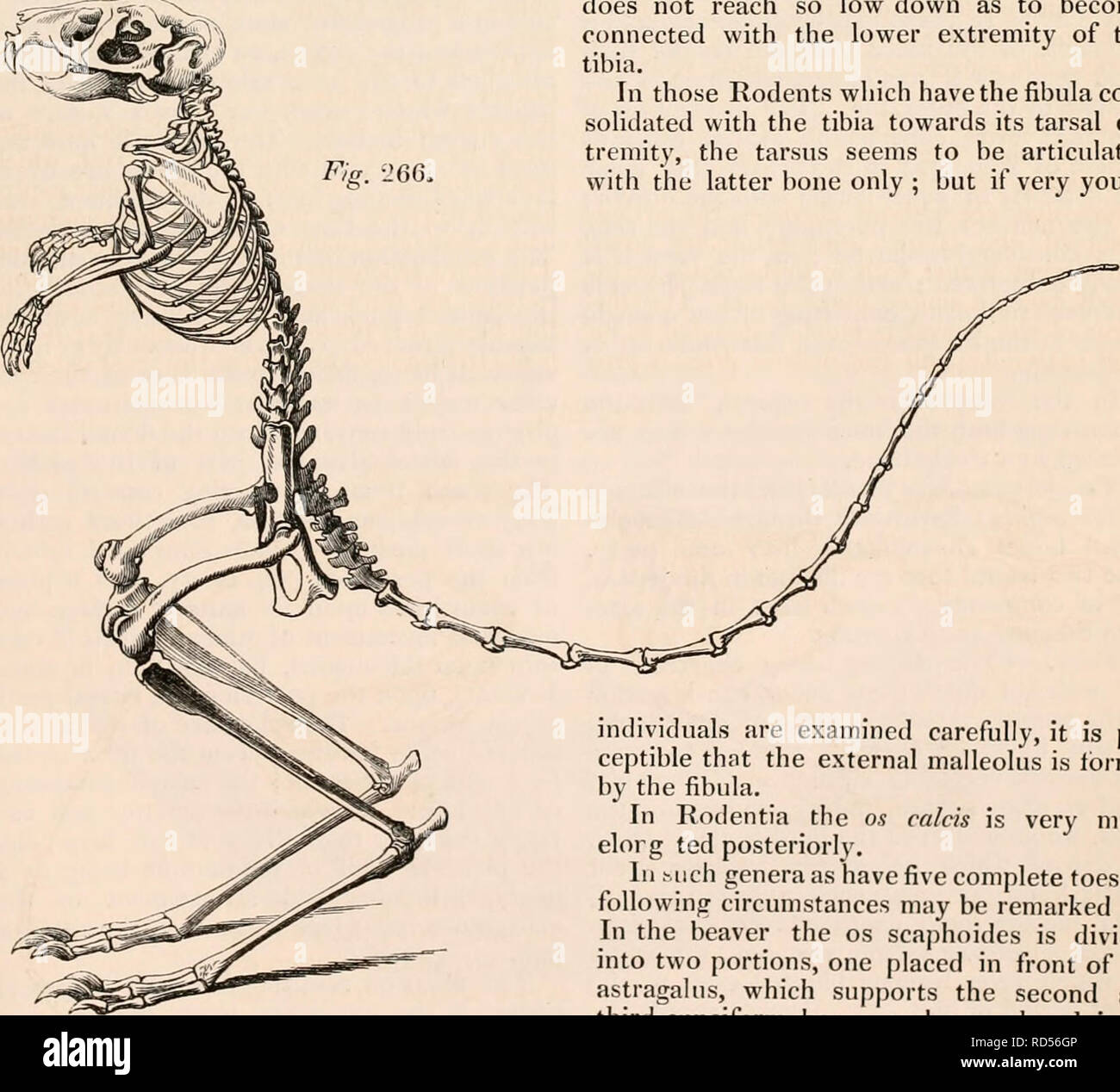. The cyclopædia of anatomy and physiology. Anatomy; Physiology ...