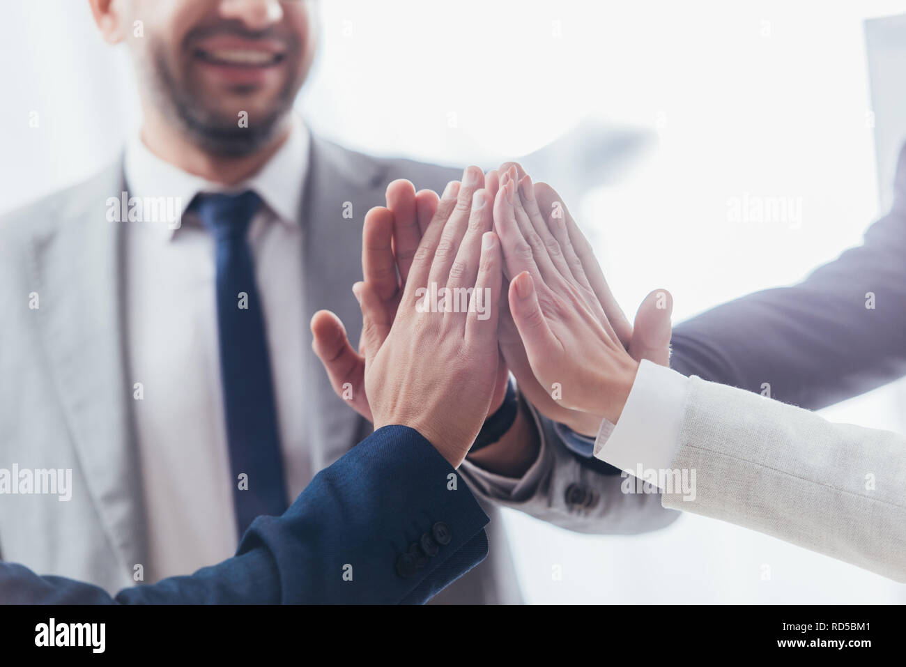 Professional business team giving hi-res stock photography and images ...