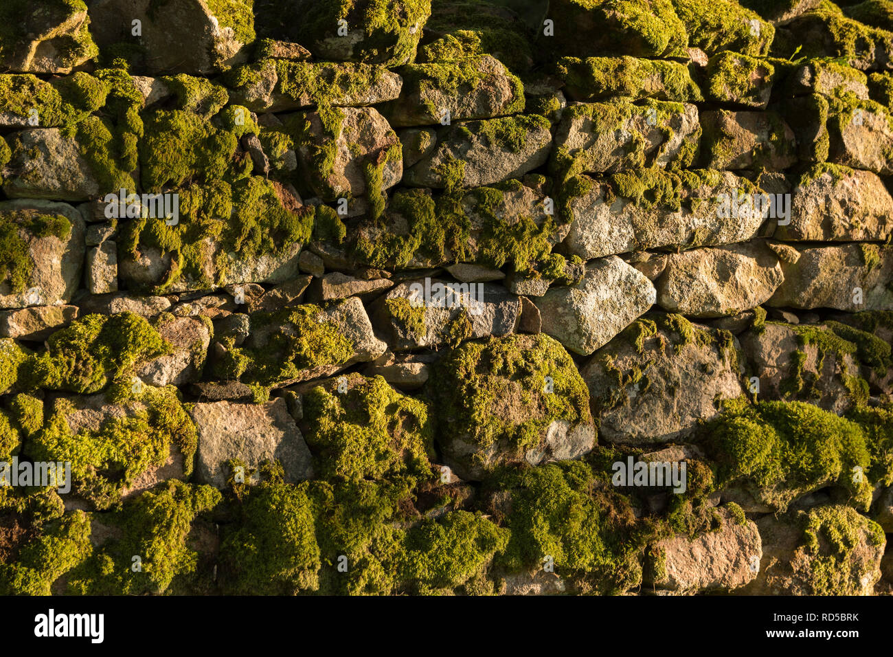 Tolquhon Castle (16th century) surroundings. Near Pitmedden and Tarves ...