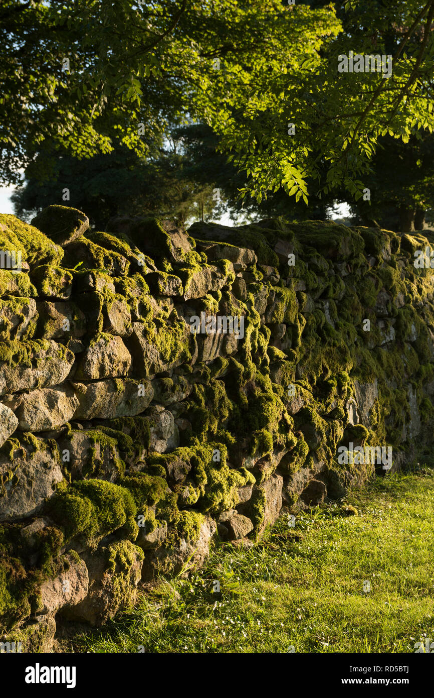 Tarves hi-res stock photography and images - Alamy