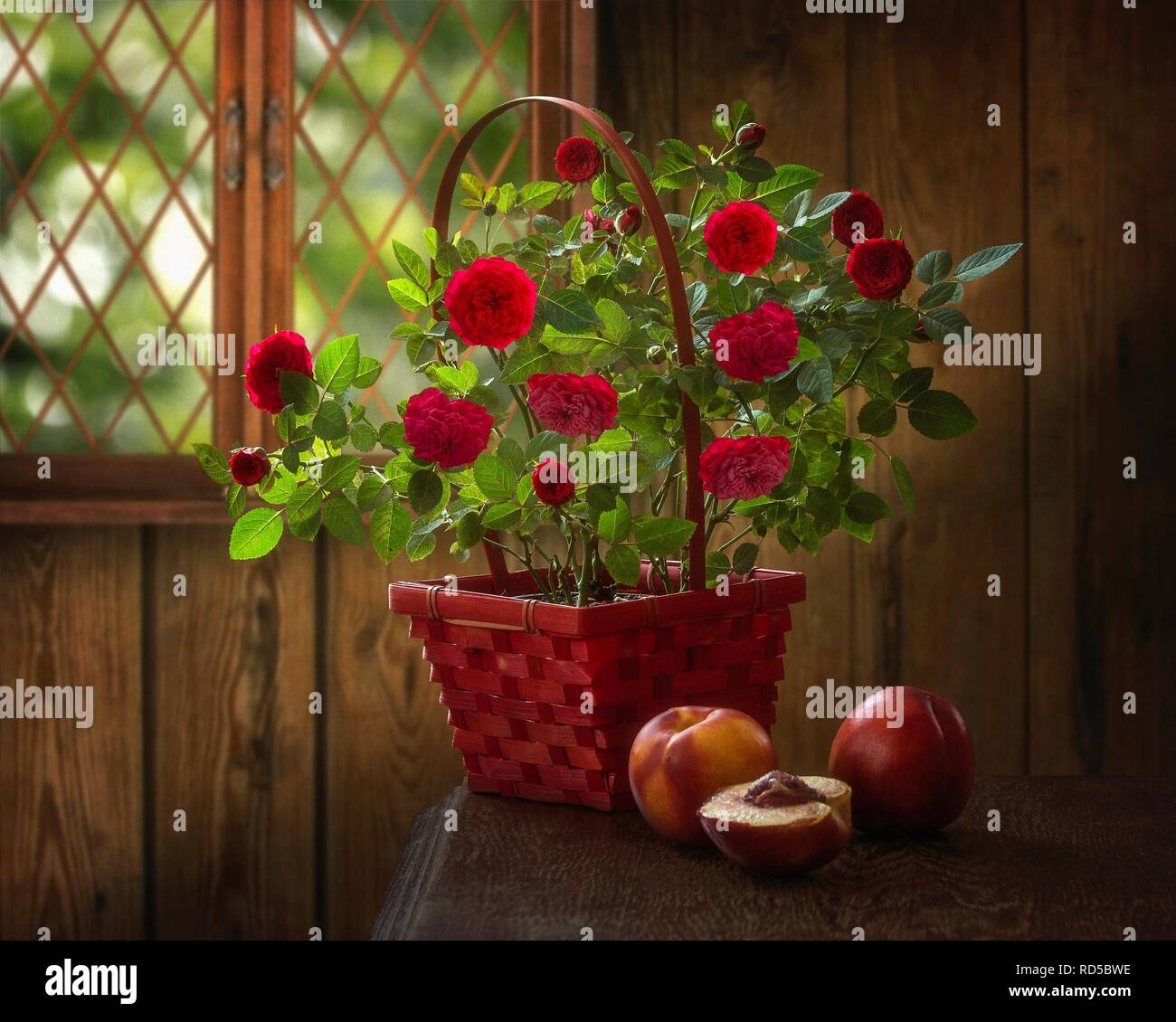 Still life with bush of red roses Stock Photo - Alamy