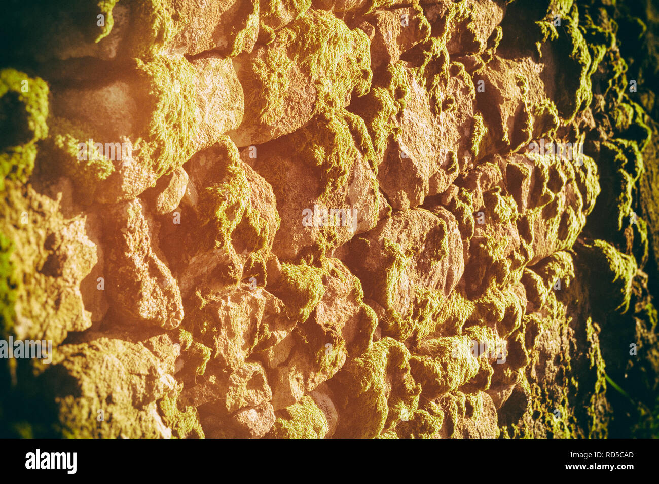 Tarves hi-res stock photography and images - Alamy