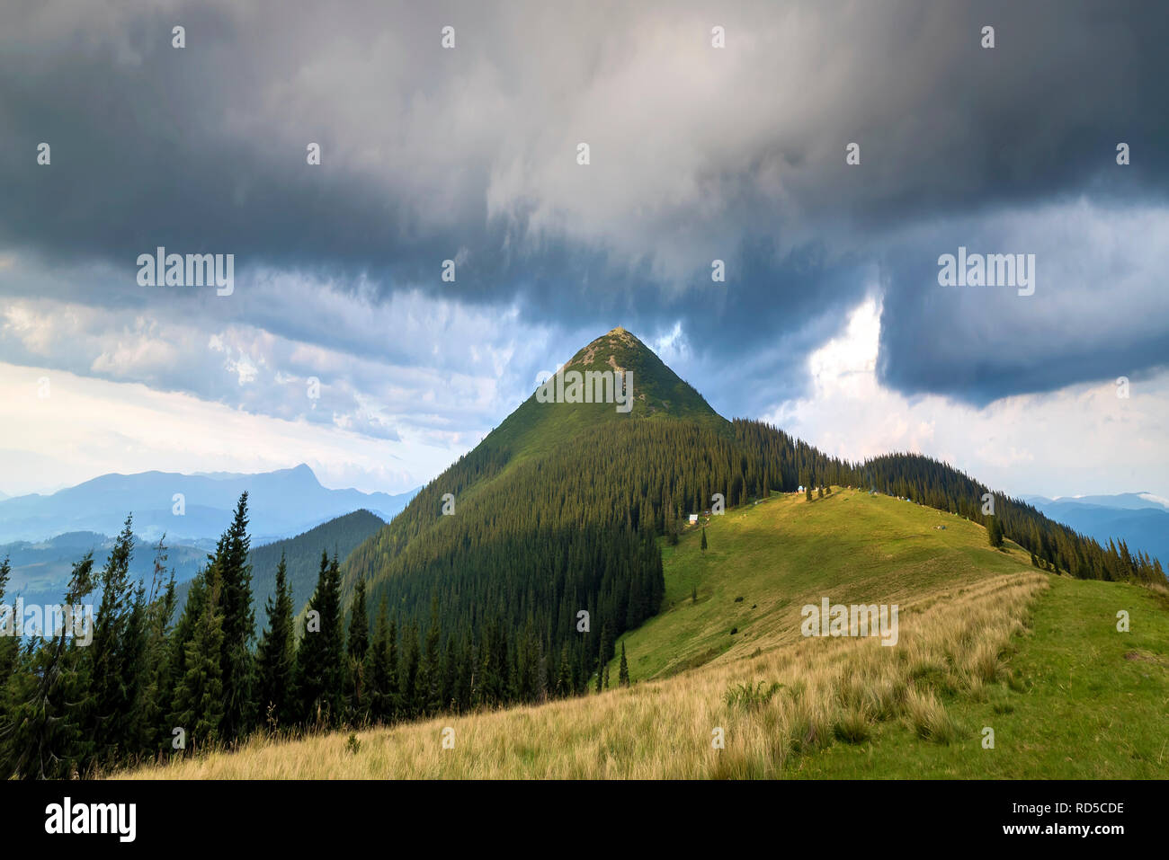 Panoramic view of green grassy valley, pine trees and rural small ...