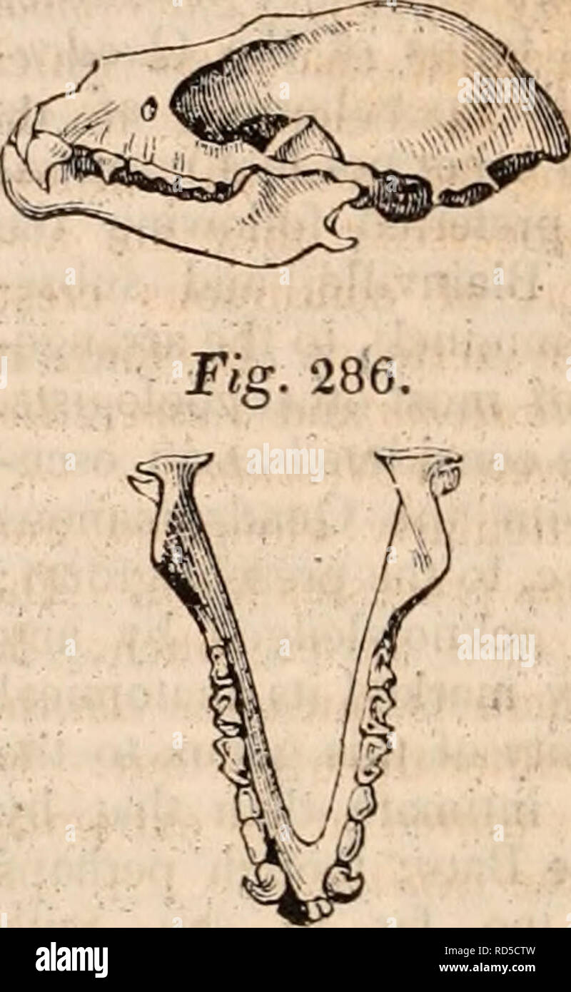 . The cyclopædia of anatomy and physiology. Anatomy; Physiology ...