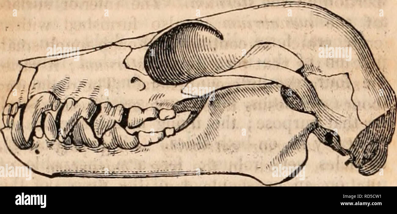 . The cyclopædia of anatomy and physiology. Anatomy; Physiology ...