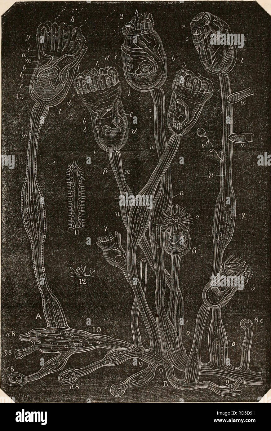 Loose motions hi-res stock photography and images - Alamy
