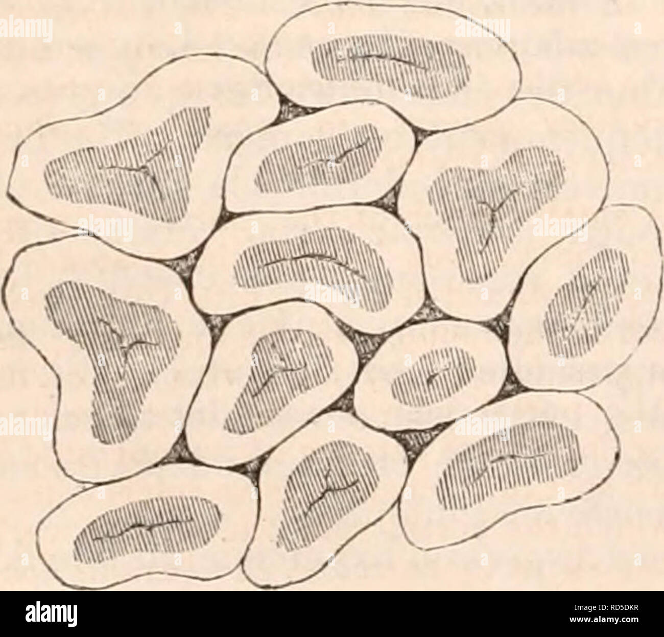 Tube au travail hi-res stock photography and images - Alamy