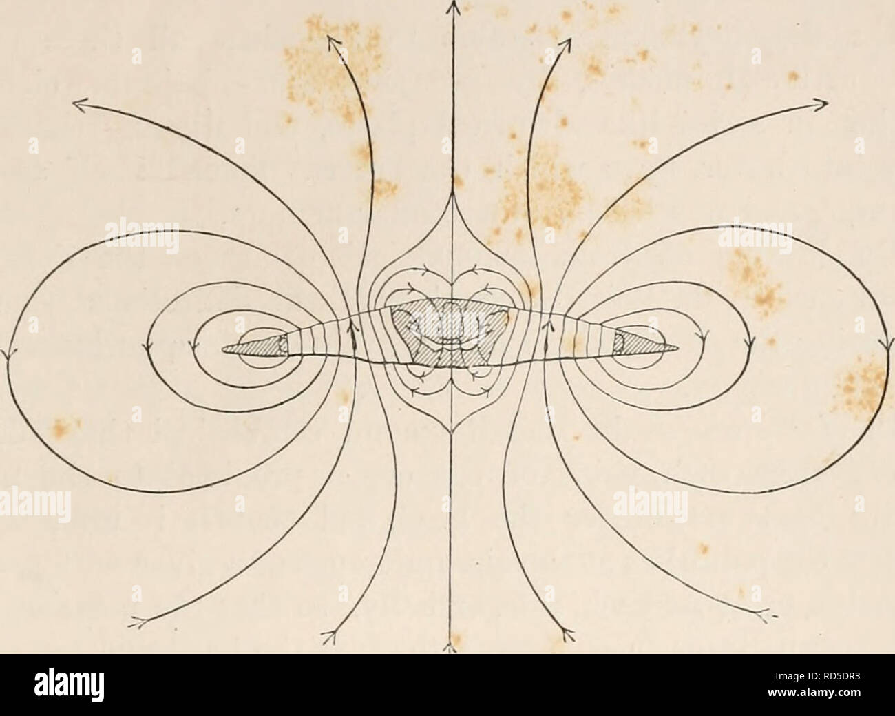 Electrical torpedo hi-res stock photography and images - Alamy