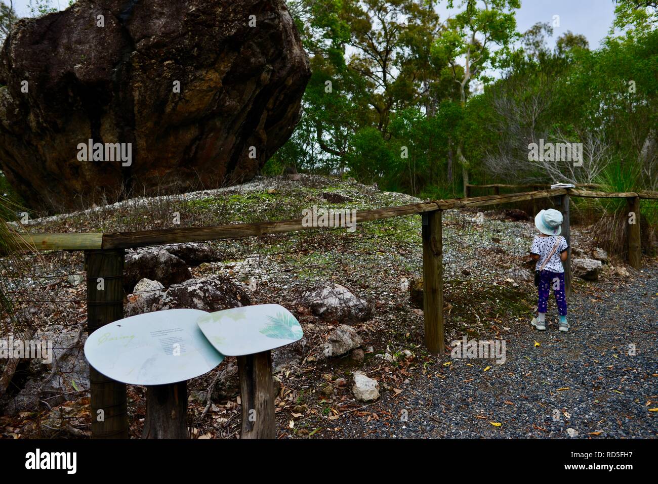 Aboriginal shell midden The diversity boardwalk at Cape Hillsborough ...